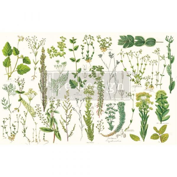 Greenery - Redesign with Prima Tissue Paper | Encore Furnishings